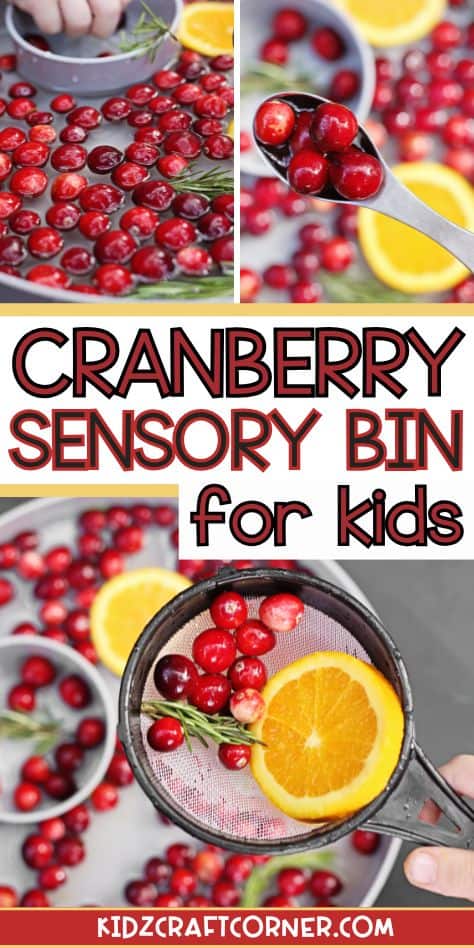 Cranberry Sensory Bin Activity for Kids: A Festive Play Idea
