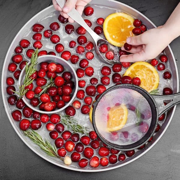Cranberry Sensory Bin Activity for Kids: A Festive Play Idea