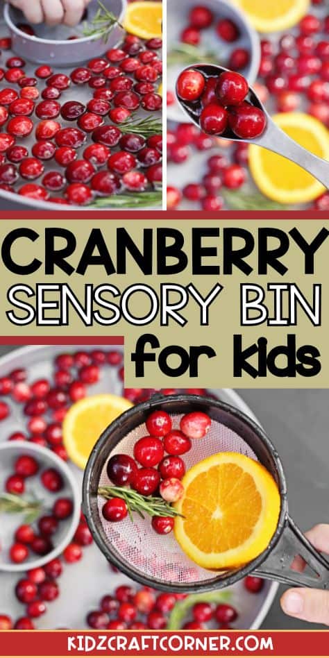 Cranberry Sensory Bin Activity for Kids: A Festive Play Idea