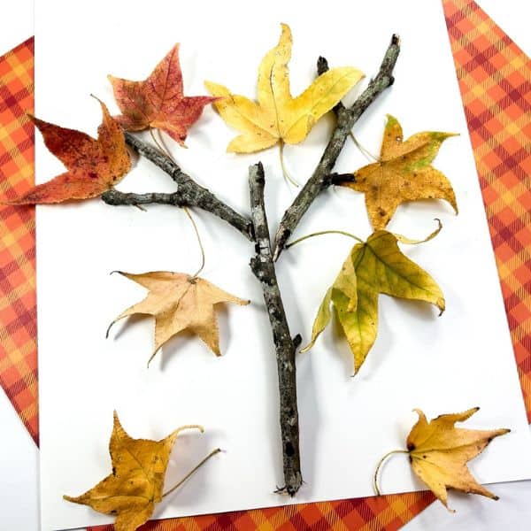 Fall Leaf Craft for Kids Using Real Leaves